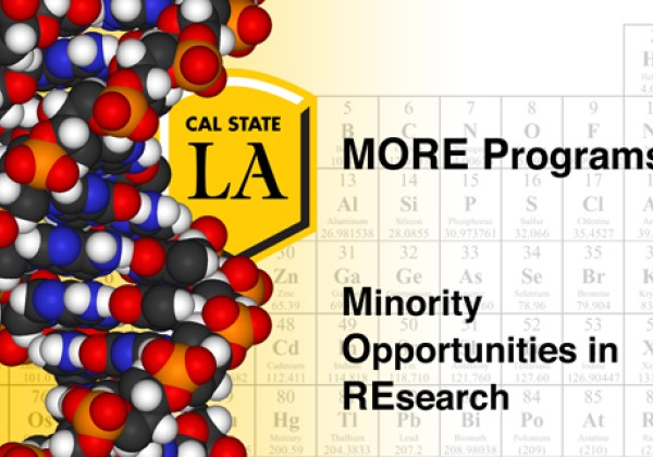 Courses and Programs | Cal State LA