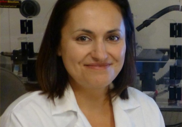 Faculty and Staff | Cal State LA